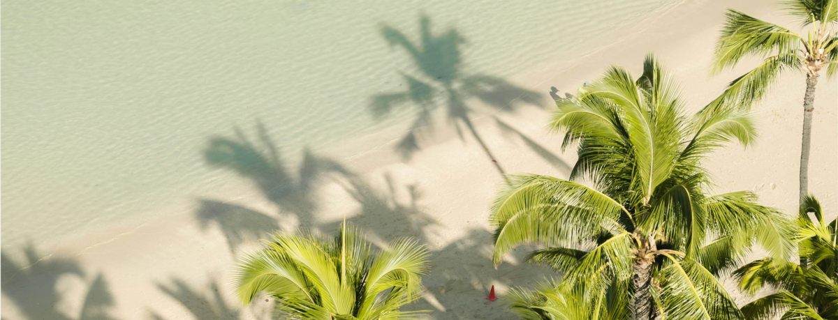 HI | House | yado | 泊まるように暮らす